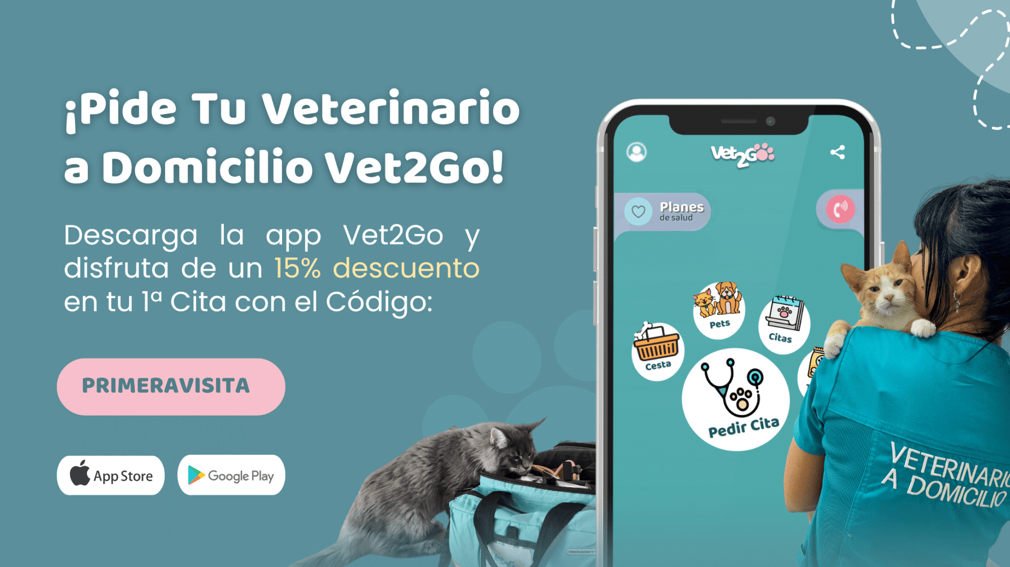 ¿Por qué mi gato tiene una calva? Causas comunes y cómo actuar